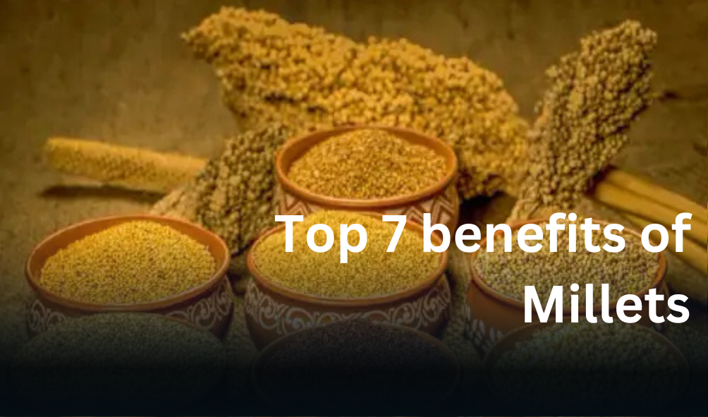 Nutritional Benefits of Millets – Naario